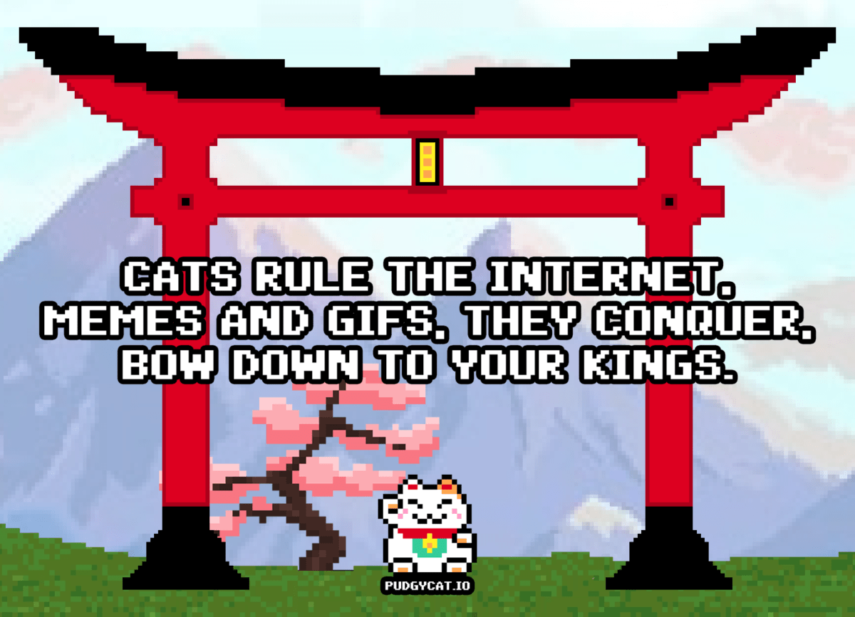 Pudgy Cat - The #1 ARTCoin on Cardano